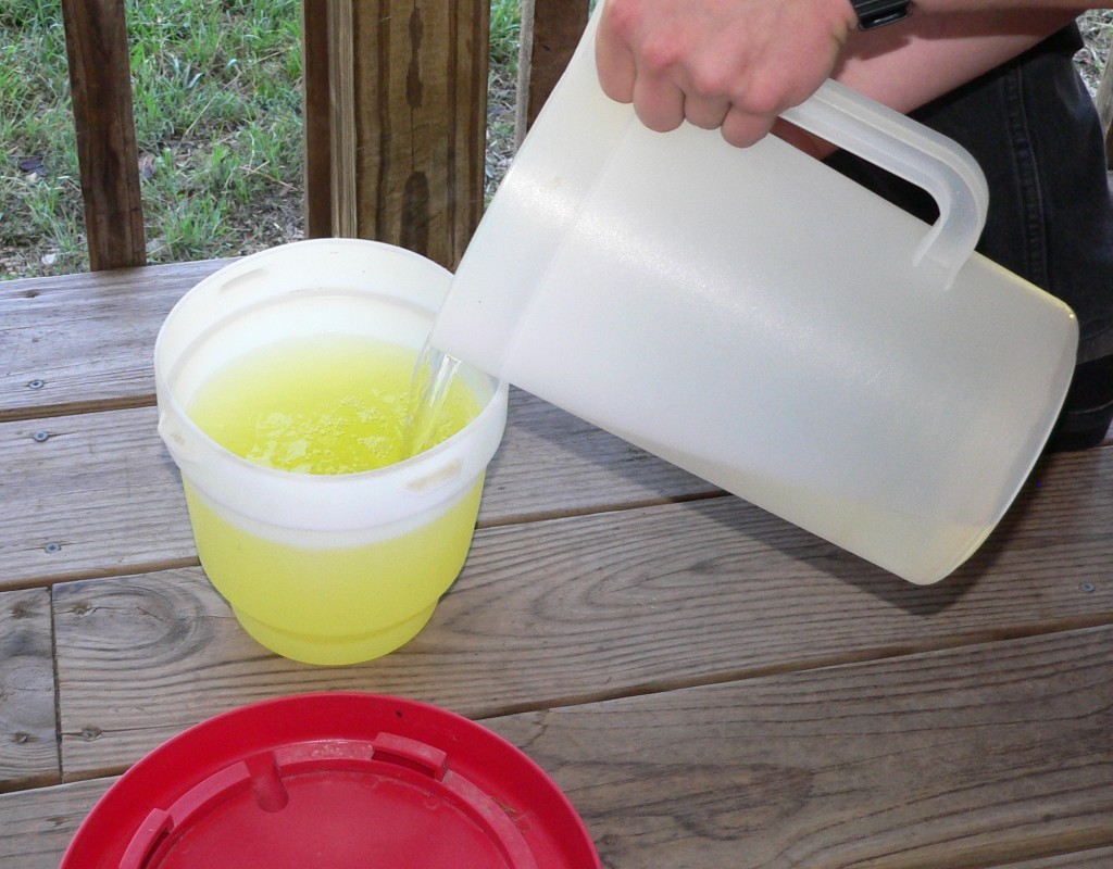 Raising Chickens for Our Home Flock, Day 3 - Murray McMurray Hatchery Blog