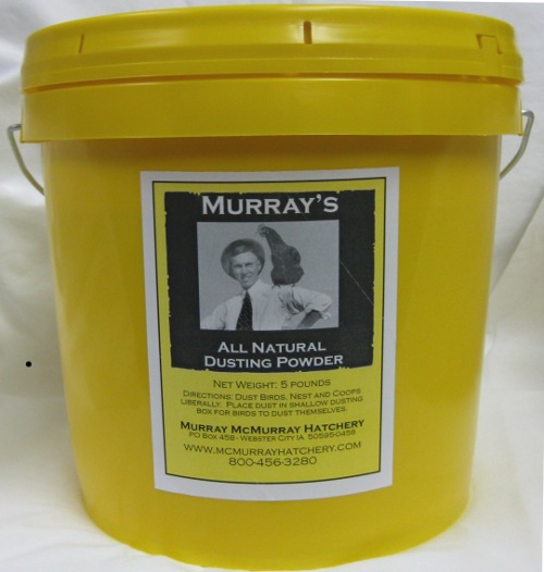 No Cause for Alarm - It's Just a Dust Bath - Murray McMurray Hatchery Blog