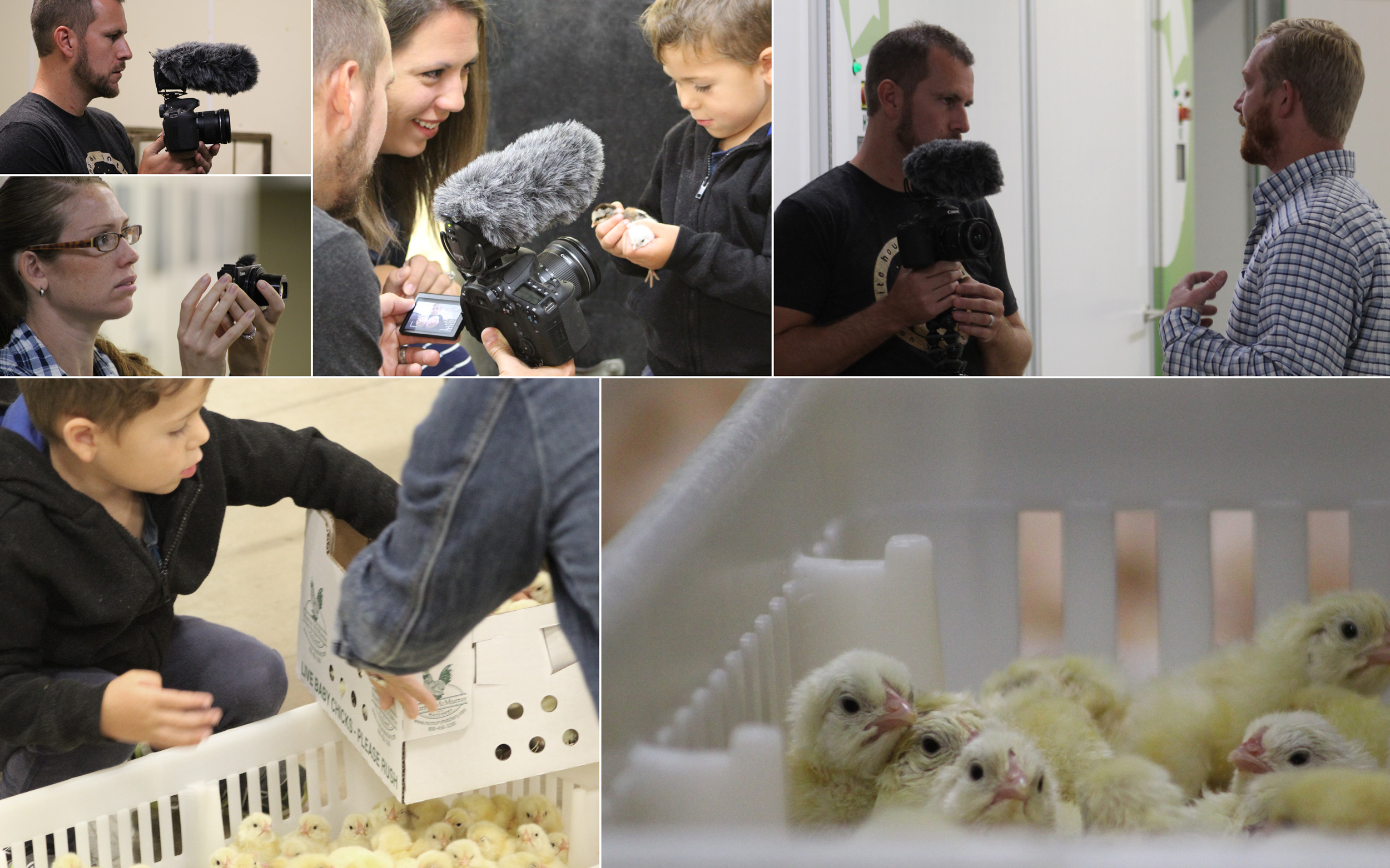 YouTube Homesteaders, White House on the Hill, Tour McMurray Hatchery ...