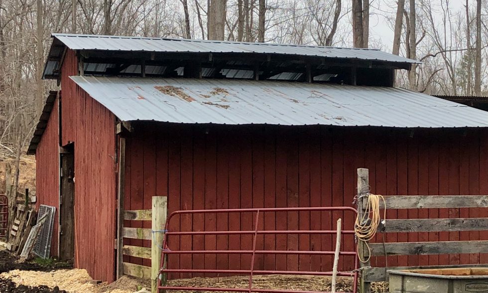 Homestead Living | Starting a Homestead - Murray McMurray Hatchery Blog