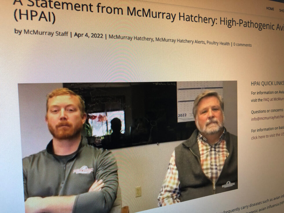 McMurray Hatchery Archives - Murray McMurray Hatchery Blog