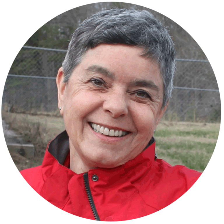 From the Experts: Chick Tips for New Chicken Owners - Poultry Producer