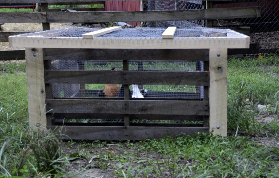 Three DIY Chicken Projects With Janet Garman - Murray McMurray Hatchery ...