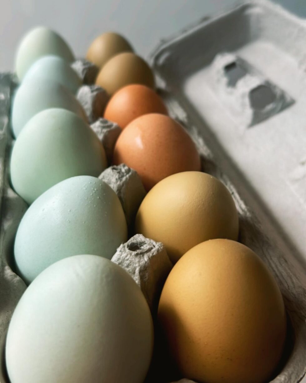 Gail Damerow Discusses Eggshell Imperfections and Anomalies - Murray ...
